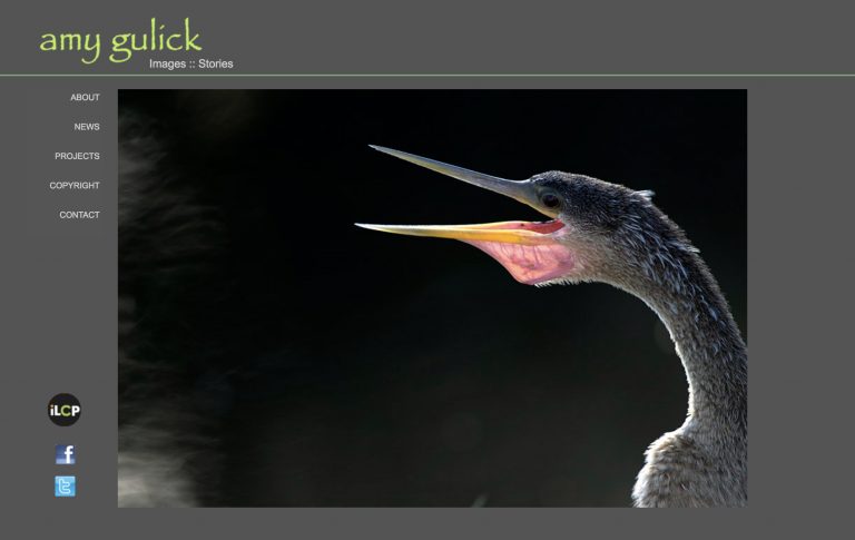 Incredible Women Wildlife Photographers | Sebastian Kennerknecht ...