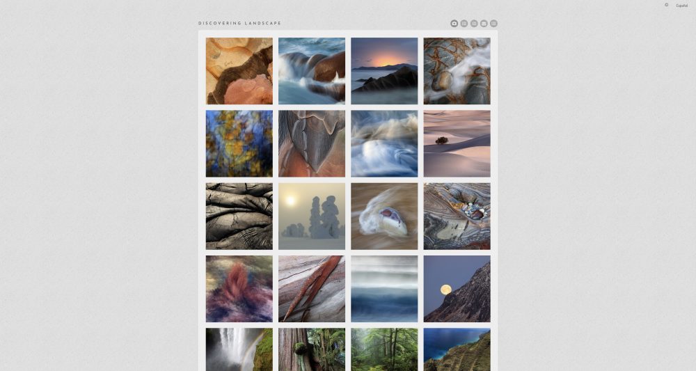 Incredible Women Wildlife Photographers | Sebastian Kennerknecht ...