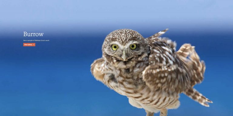 Incredible Women Wildlife Photographers | Sebastian Kennerknecht ...