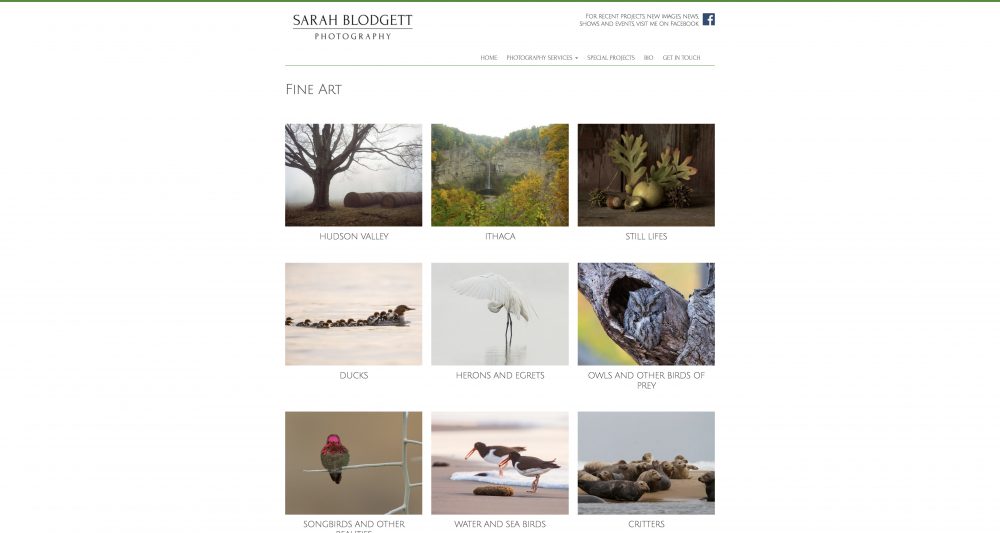Incredible Women Wildlife Photographers | Sebastian Kennerknecht ...