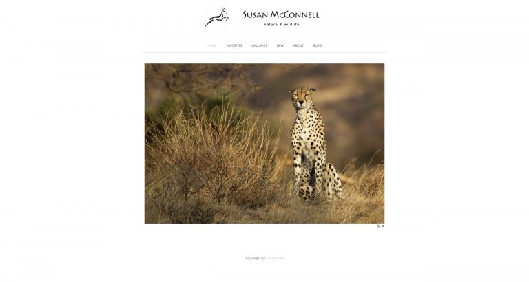 Incredible Women Wildlife Photographers | Sebastian Kennerknecht ...